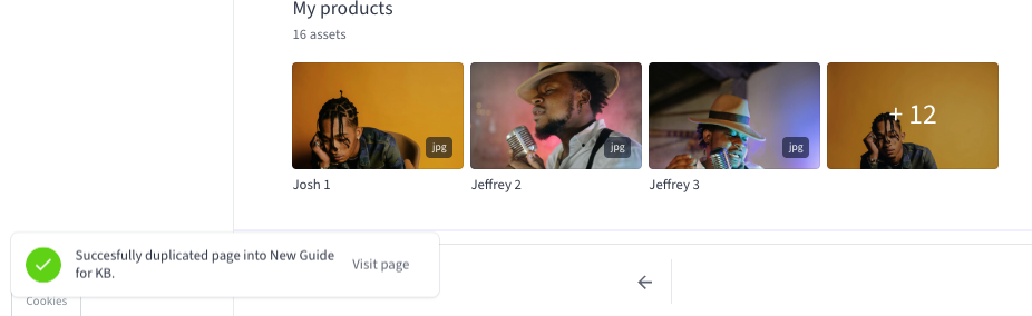 Duplicate Content in Guides and Landing Pages – Bynder Support